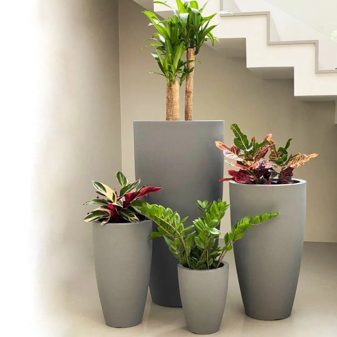 Kit de 4 Vasos Vietnamita Cinza Vasap Design | MadeiraMadeira