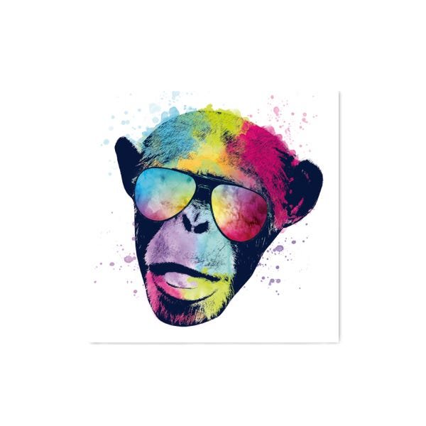Quadro Decorativo Macaco Color Fundo Branco - 50x50cm - Arte Maníacos ...