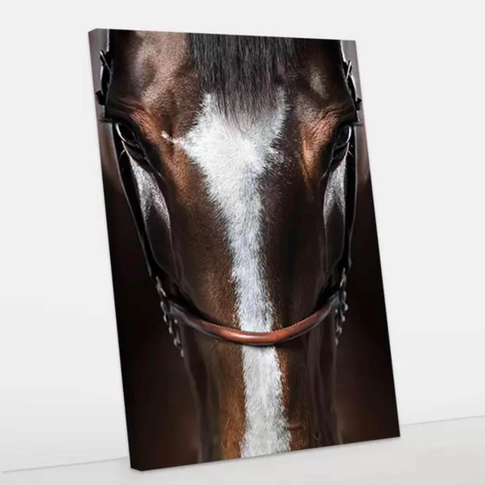 Quadro Decorativo Cavalo Canvas 02 60x90 50x70 Foto Paulista:60x90 | MadeiraMadeira