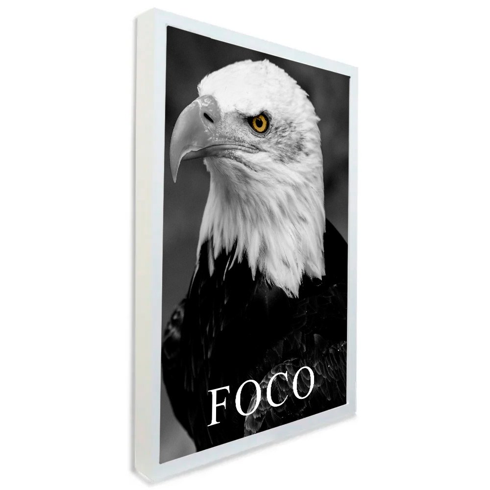 Quadro Decorativo Motivacional Foco da Águia Tacolado Moldura Caixa 3cm ...