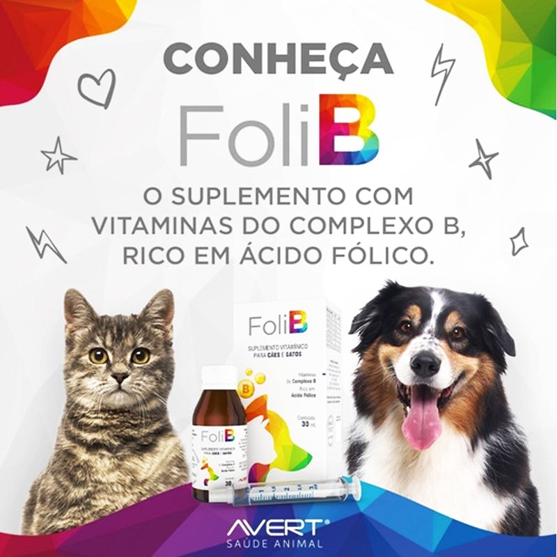 Suplemento Vitamínico Foli B Complexo B Ácido Fólico para Cães e Gatos ...
