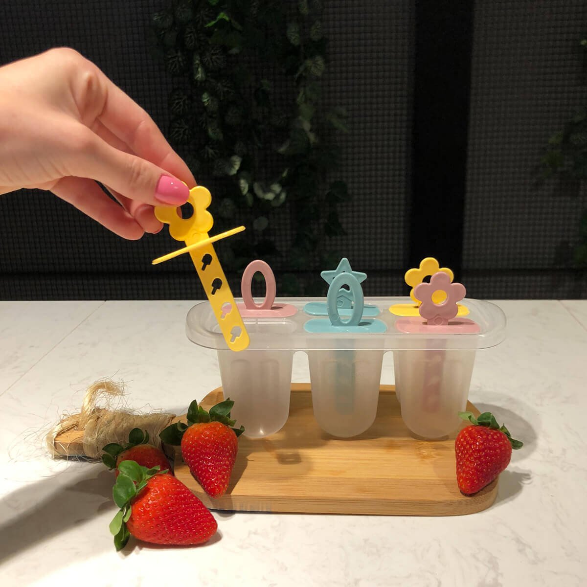 Forma de Picolé 6 Palitos Sorvete Picoleteira Geladinho Sanremo ...