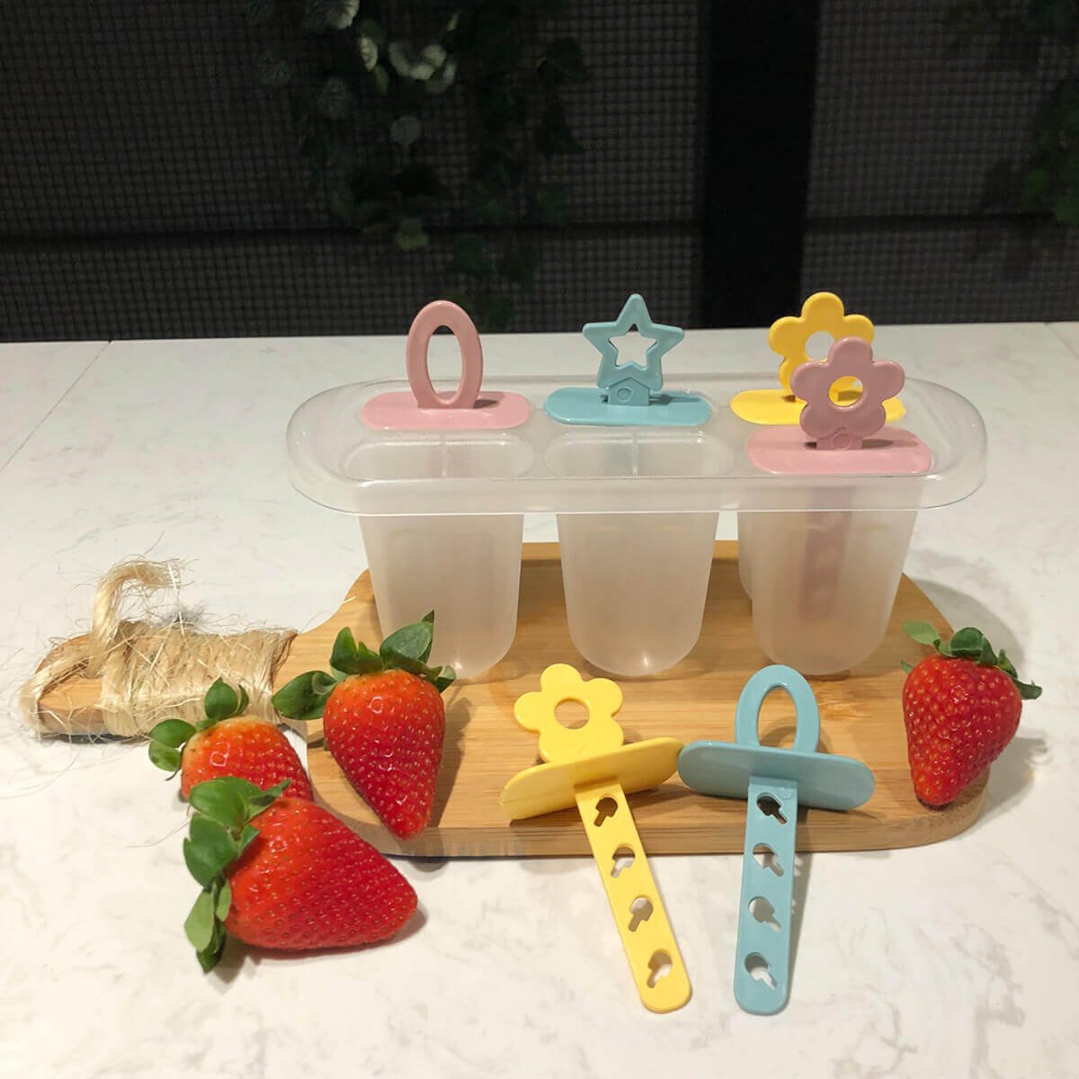 Forma de Picolé 6 Palitos Sorvete Picoleteira Geladinho Sanremo ...