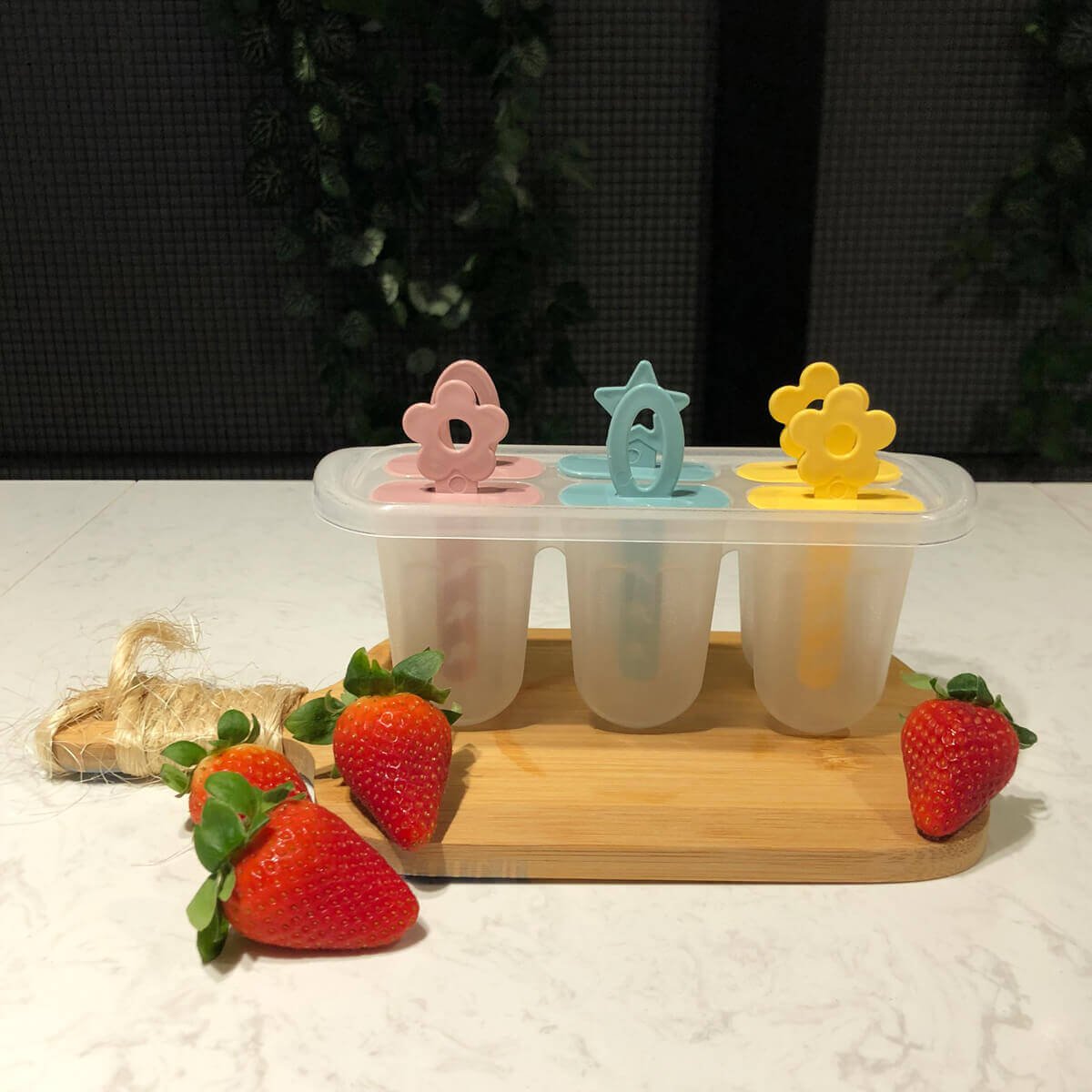 Forma de Picolé 6 Palitos Sorvete Picoleteira Geladinho Sanremo ...