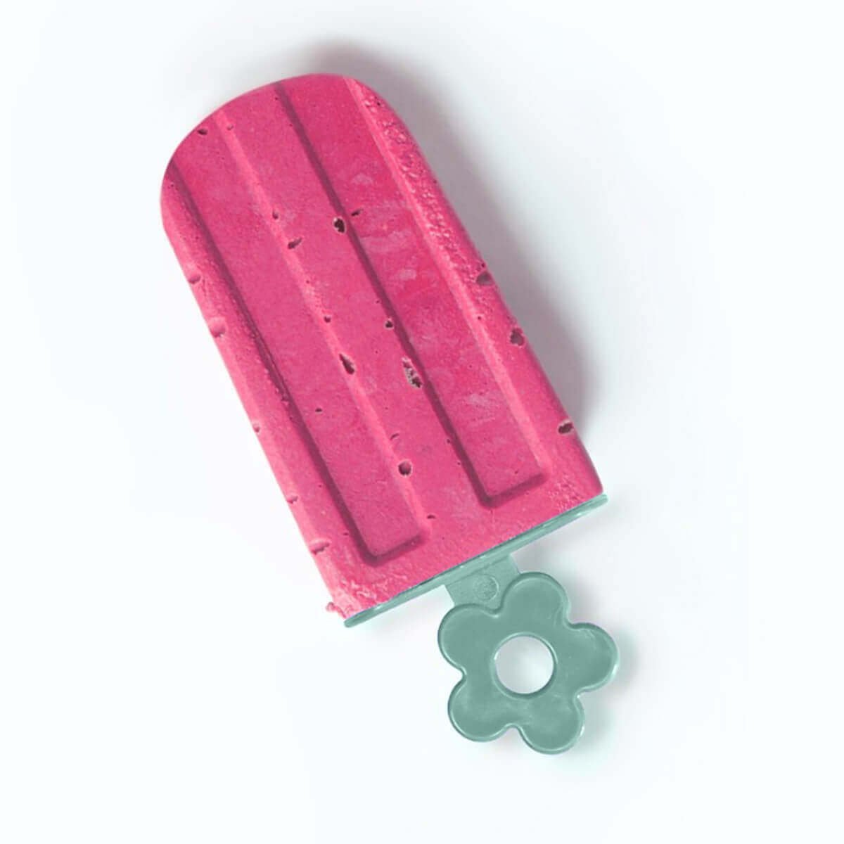 Forma de Picolé 6 Palitos Sorvete Picoleteira Geladinho Sanremo ...