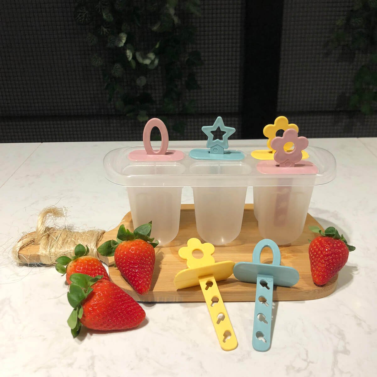 Forma de Picolé 6 Palitos Sorvete Picoleteira Geladinho Sanremo ...