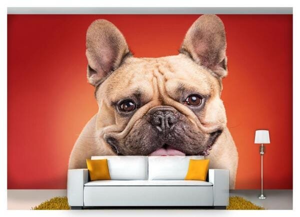 Papel De Parede Animais Bulldog Rindo 3D Anm148 | MadeiraMadeira