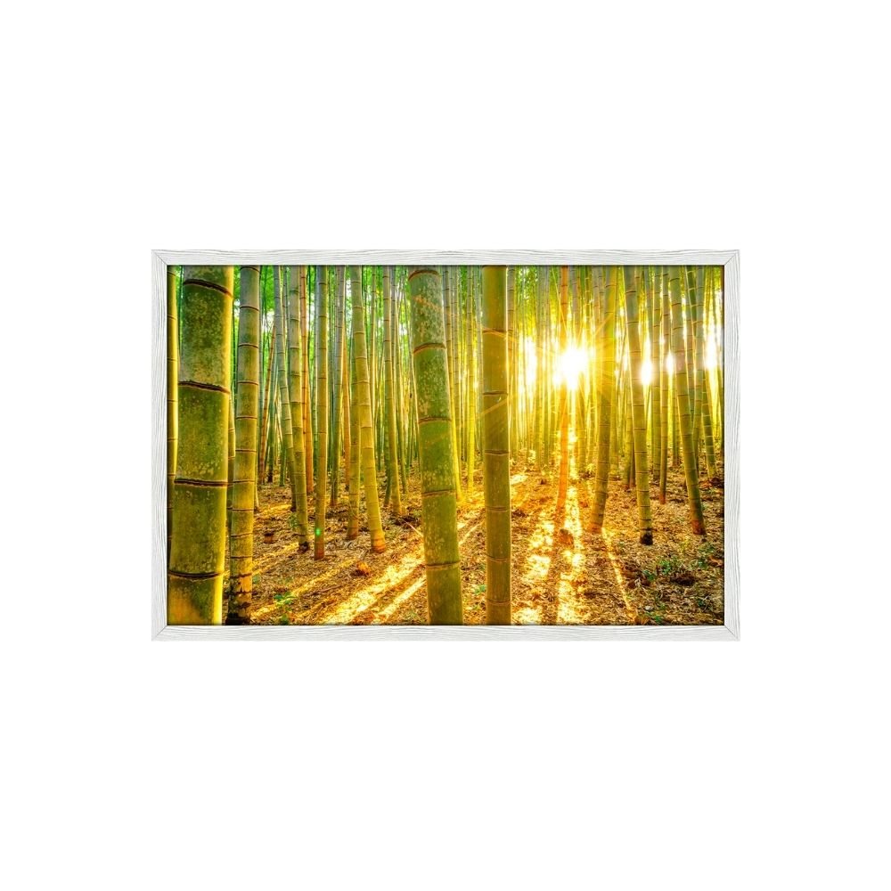 Quadro Decorativo Árvores Bambu: Mod. 0397 Collor-ink Mod.0397 60 X ...