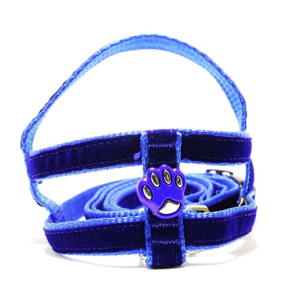 Conjunto peitoral e guia nylon Camurça nro 3 Coltelli:Azul | MadeiraMadeira