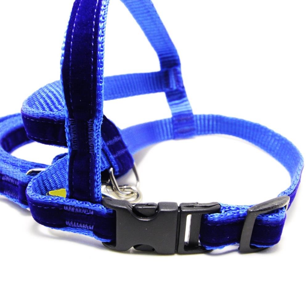 Conjunto peitoral e guia nylon Camurça nro 3 Coltelli:Azul | MadeiraMadeira
