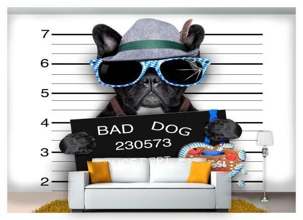 Papel De Parede Animais Bulldog Retrato 3D Anm146 | MadeiraMadeira