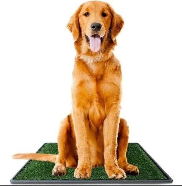 Kit com 3 Refil de Grama Sintética para Sanitário 40x51- Pet ...