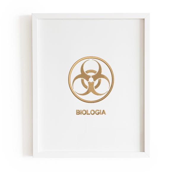 Quadro A4 Bordado Biologia | MadeiraMadeira