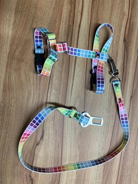 Cat Confort Guide For Car - M - QR Code | MadeiraMadeira