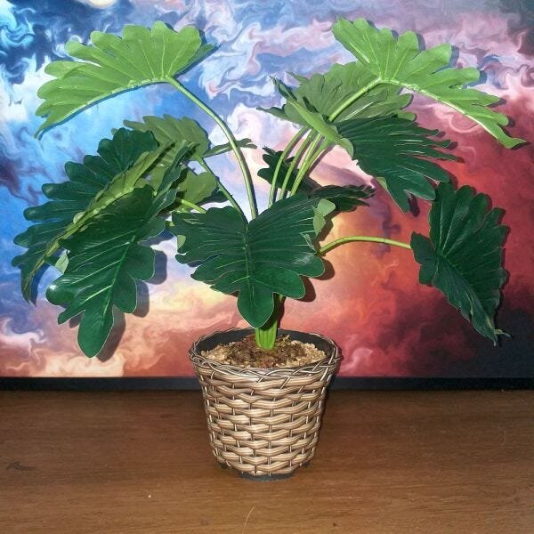 Folhagem Artificial Etérea Xanadu Estrela Vaso Palha MONTADO ...