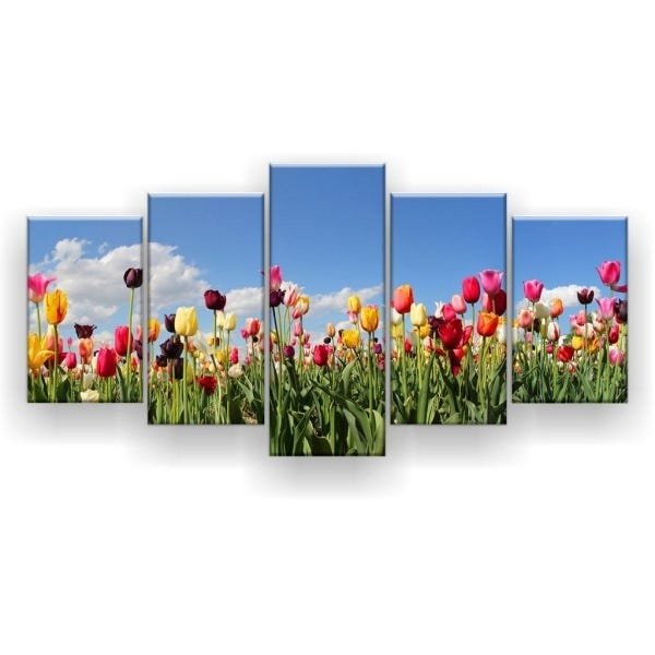 Quadro Decorativo Campo De Tulipas Céu Azul 129x61 5pc Sala ...
