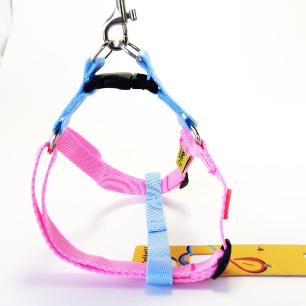 Conjunto peitoral e guia Walking rosa fluor liso PQ Coltelli ...