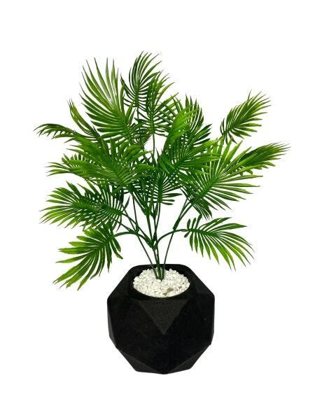 Arranjo de Mesa Mini Coqueiro Com Vaso Preto | MadeiraMadeira