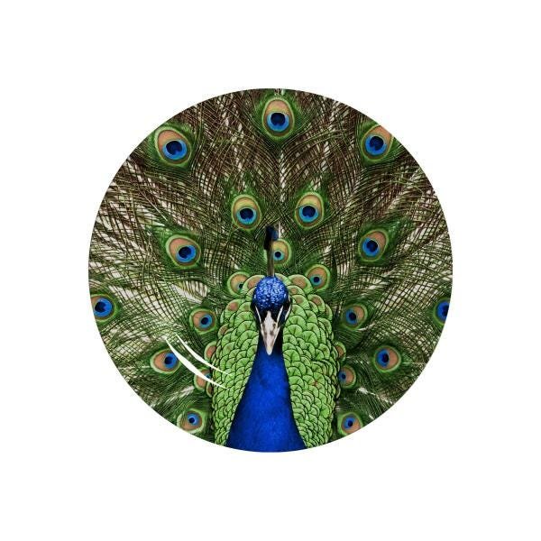 Prato De Parede Decorativo Pavone Ø20 Cm Acompanha Suporte | MadeiraMadeira