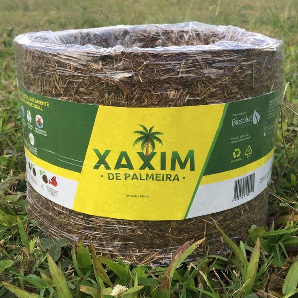 Xaxim de Palmeira - Tamanho M | MadeiraMadeira