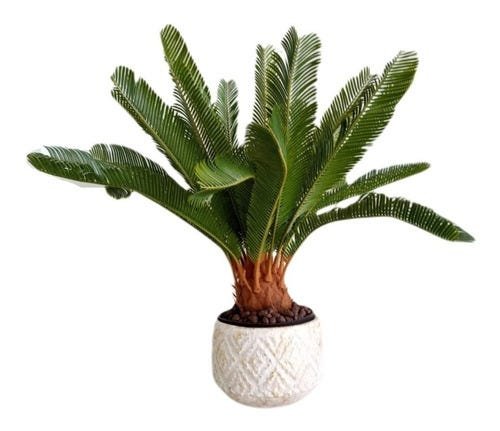 Planta Artificial Árvore Cyca Decoração Enfeite Casa 62 X 80 ...