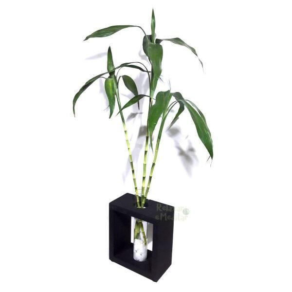 Vaso em Vidro e Suporte de Madeira Médio com 3 Hastes de Bambu da Sorte ...