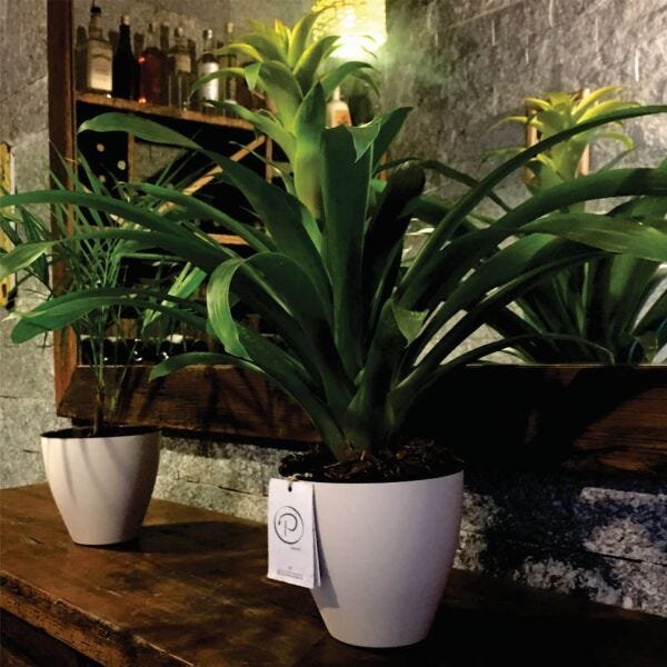 Vaso auto-irrigável PLANTIÊ Branco Fosco | MadeiraMadeira