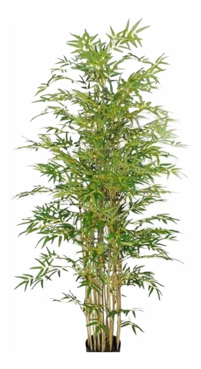 KIT 7 HASTES DE PLANTA BAMBU BAMBOO DA SORTE VERDE 150CM | MadeiraMadeira