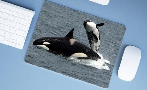 Mouse Pad Grande, Baleia Orca | MadeiraMadeira