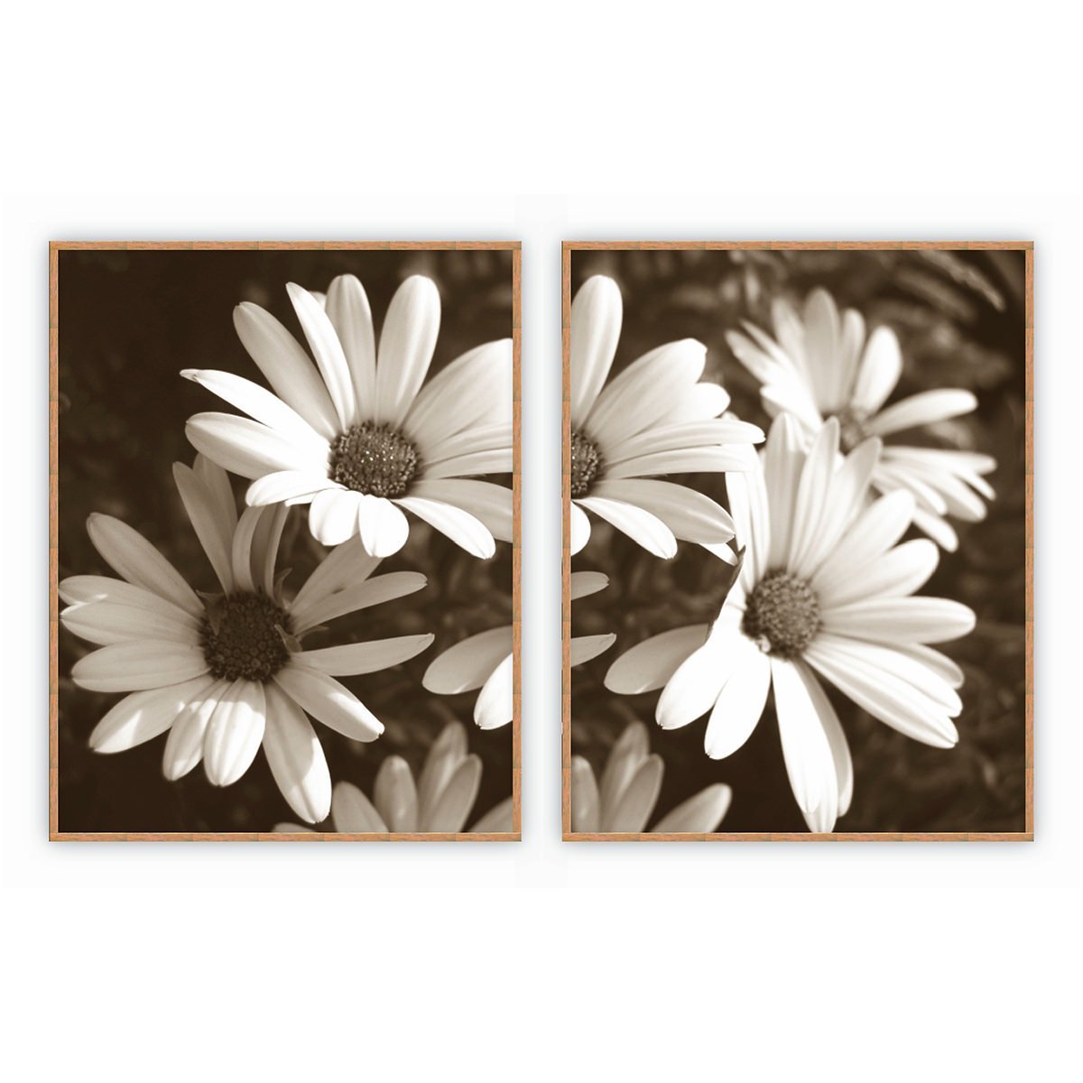 kit com 2 Quadros Decorativos Florais com Moldura e Vidro para Sala ...