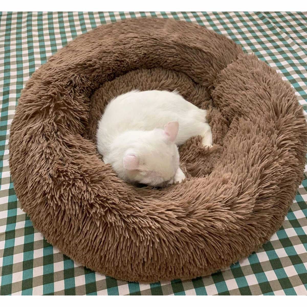 Cama Nuvem Donut Cao Gato Cachorro Pet Caminha Redonda 60cm Rosquinha ...