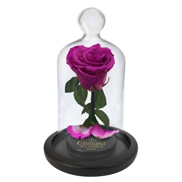 Rosa Encantada Pink Escura Giuliana Flores | MadeiraMadeira