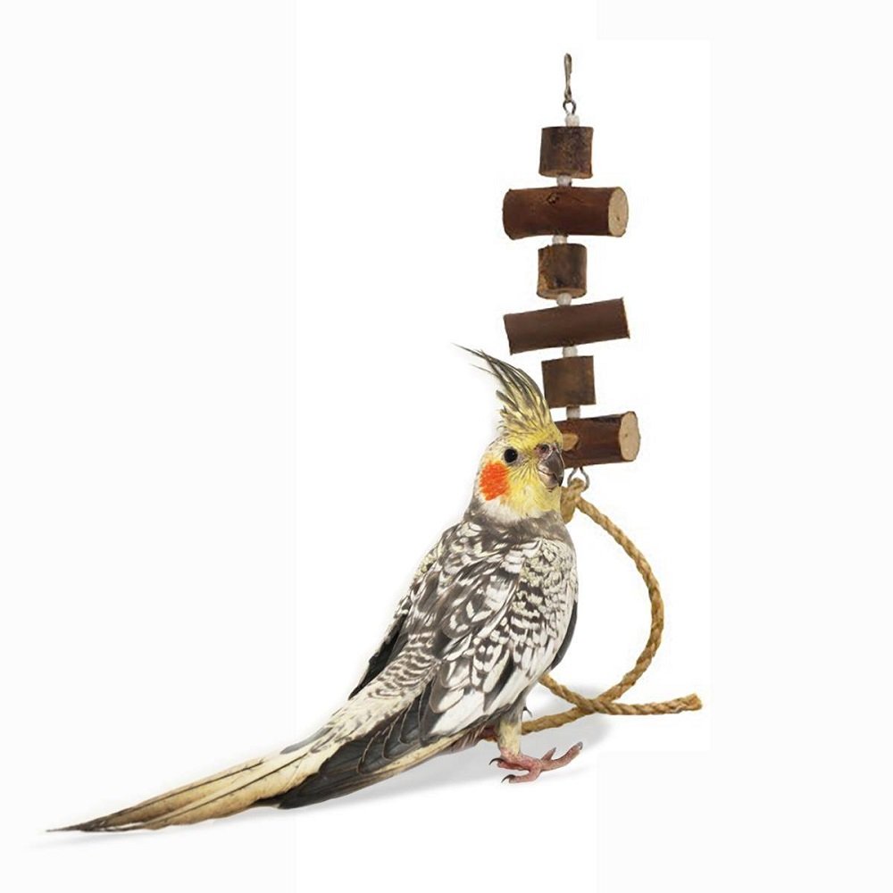 Brinquedo pendulo madeira para pássaros 8x24cm Bragança | MadeiraMadeira