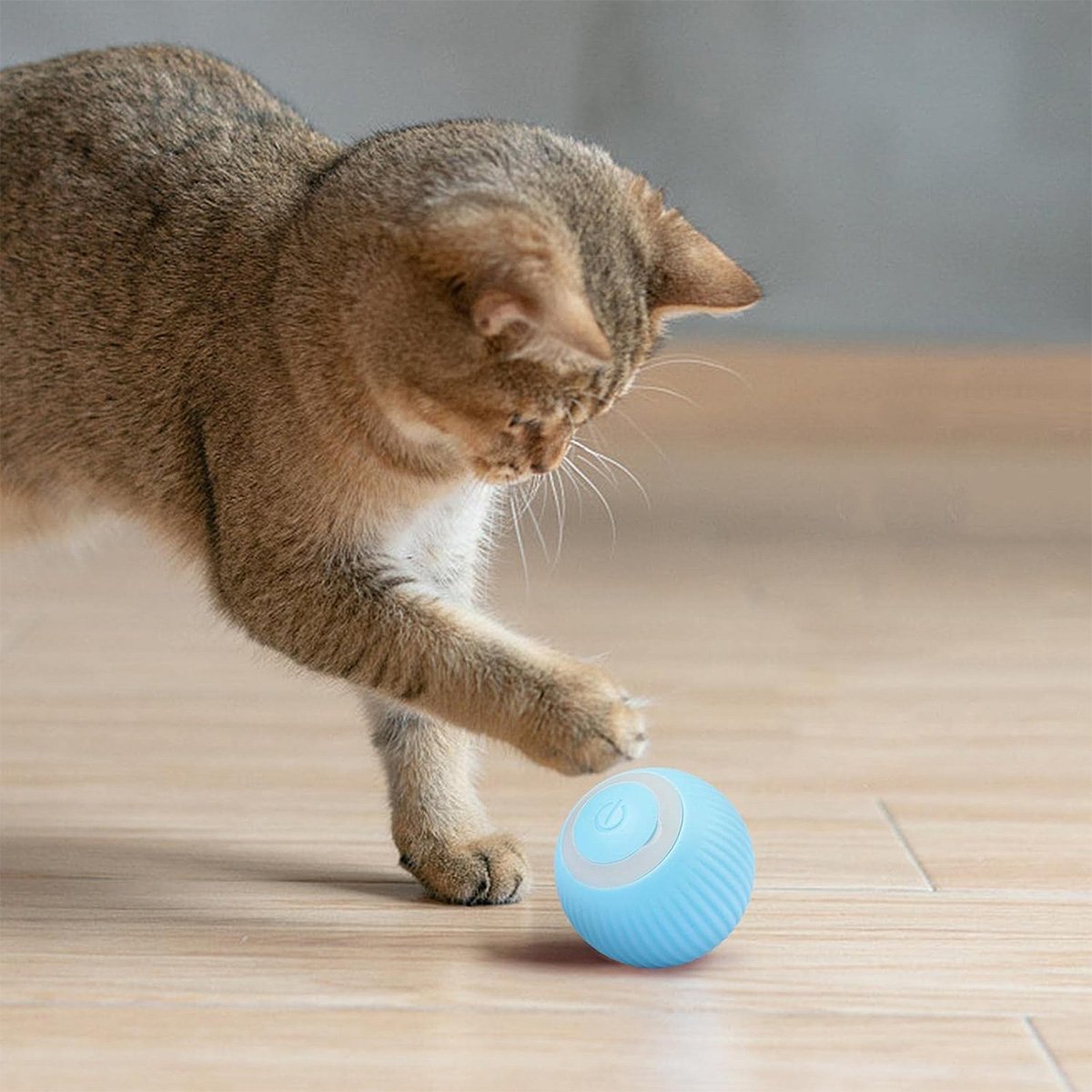 Bola Inteligente Giratoria Gato Pet Felino Usb Bateria Recarregavel ...