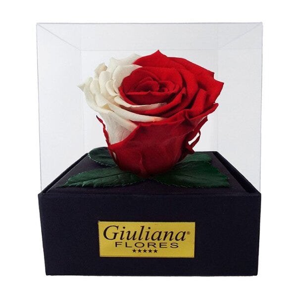 Rosa Encantada Moon Red Giuliana Flores | MadeiraMadeira