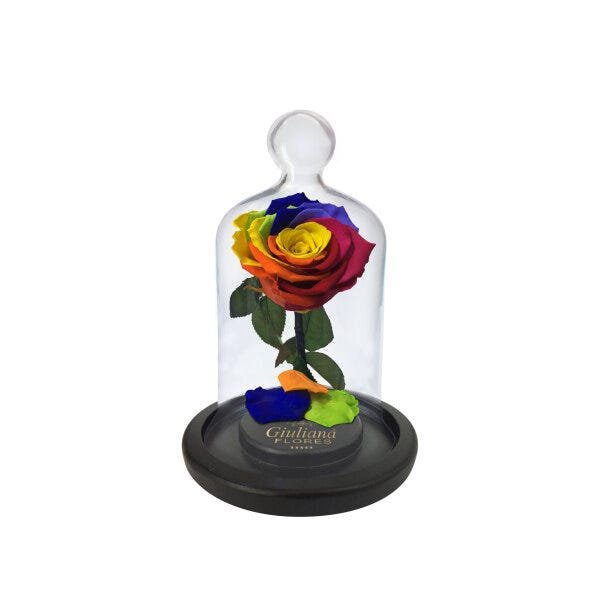Mini Rosa Encantada Arco-Íris Giuliana Flores | MadeiraMadeira