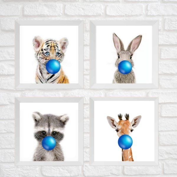 kit 4 quadros decorativos animais bola chiclet azul 20x20 | MadeiraMadeira