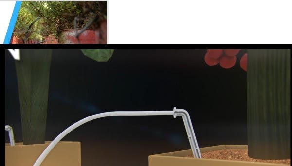 Conector Manifold 4 Saídas para Botão Gotejador Netafim 10 Und ...