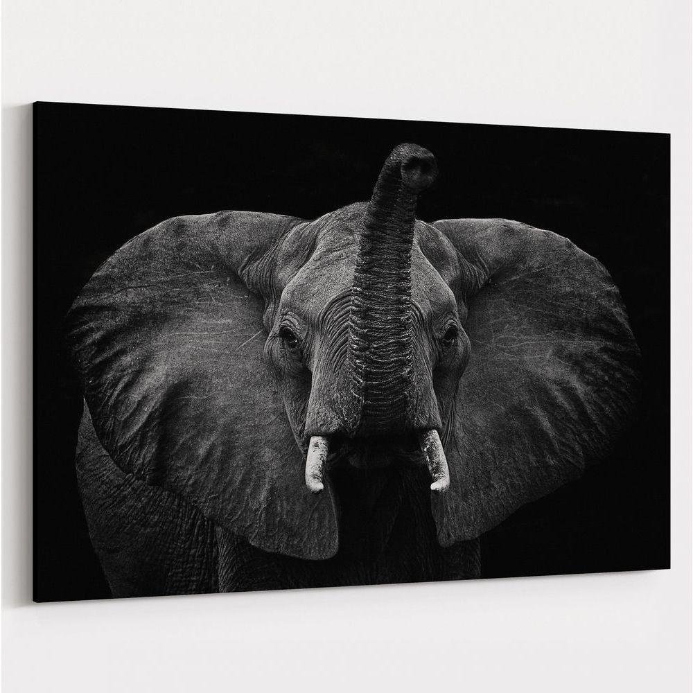 Quadro Elefante Preto - 1 Tela | MadeiraMadeira