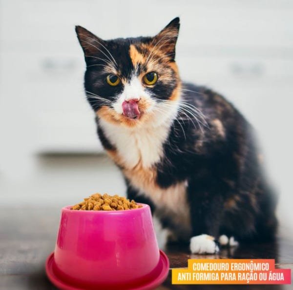Comedouro Alto para Gato Elevado Postura Correta Gatos | MadeiraMadeira