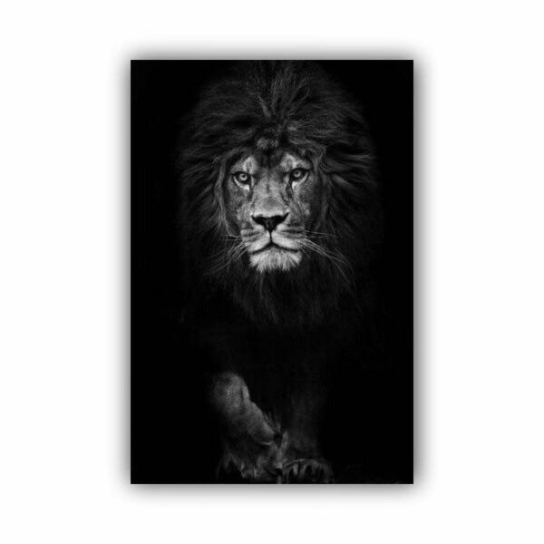 Quadro Leão Vertical Preto e Branco Coleção Savana Decor - Tela Única ...