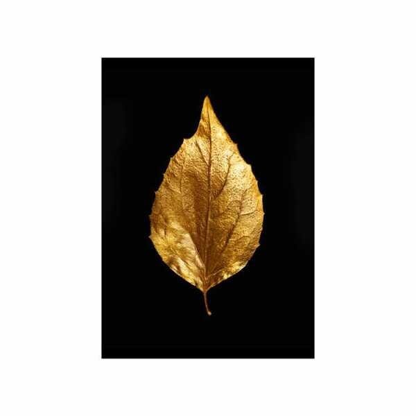 Quadro Folha Seca Preto e Dourado 2 - Tela Única - 90 x 60 cm - Branca ...