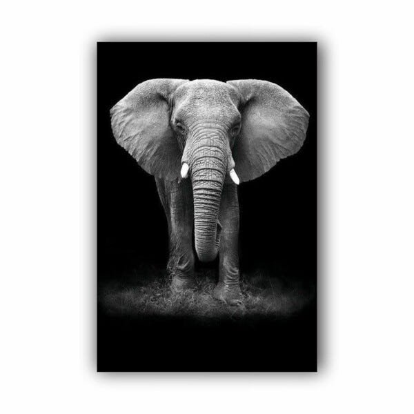 Quadro Elefante Vertical Preto e Branco Coleção Savana Decor - Tela ...