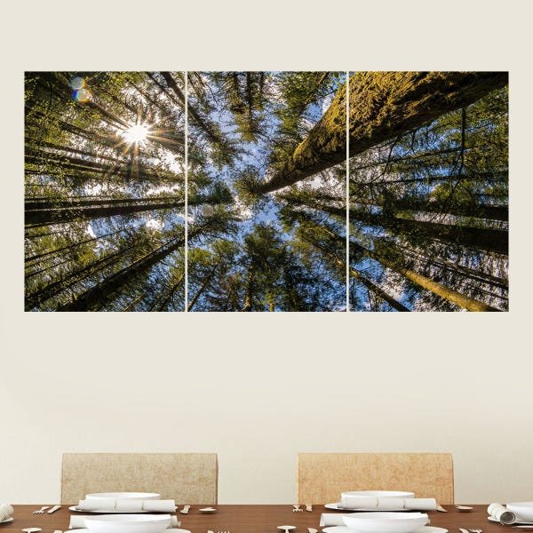 Quadros Decorativos Paisagem Natureza Abstrato 120x60cm 6mm Moulton ...