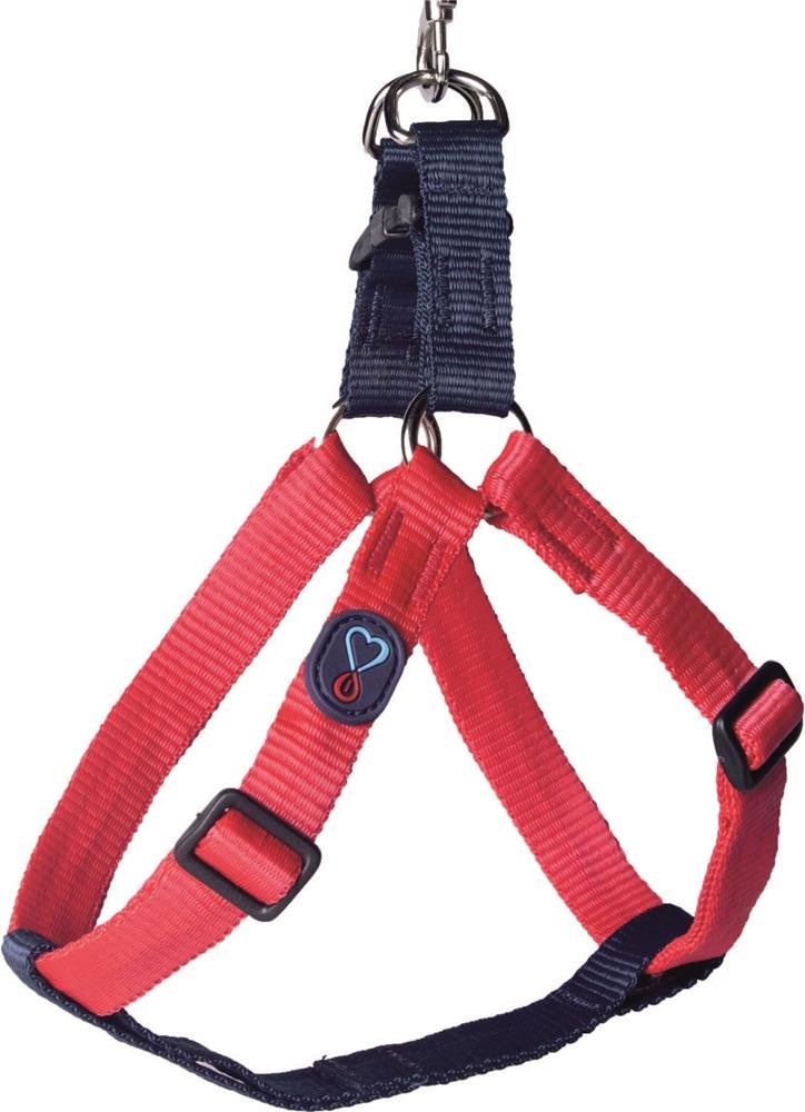Conjunto peitoral e guia Walking liso vermelho PQ Coltelli | MadeiraMadeira