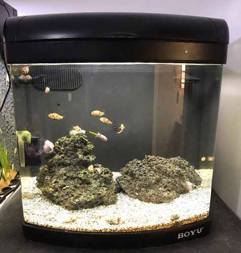 Aquário Boyu MT 30 25 Litros Preto de Vidro 220v - 220v | MadeiraMadeira
