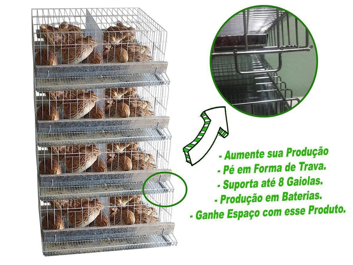 Gaiola Codorna Poedeira Japonesa Bateria 60 Aves - Kit 3 Pçs ...