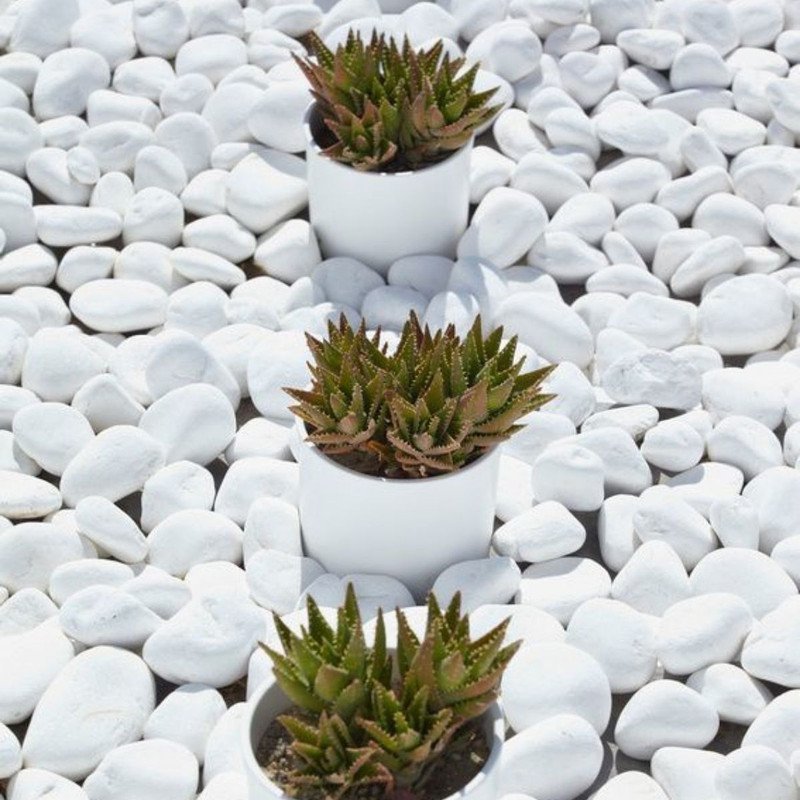 Pedra Dolomita Rolada Seixo Branco Tamanho Nº 4 - Saco 28,5Kg | MadeiraMadeira