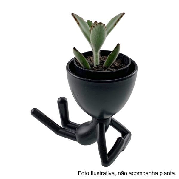 Vaso Decorativo para Suculentas Cacto Planta Robert Bob Mod Deitado ...