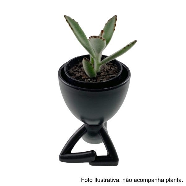 Vaso Decorativo para Suculentas Cacto Planta Robert Bob Mod Deitado ...
